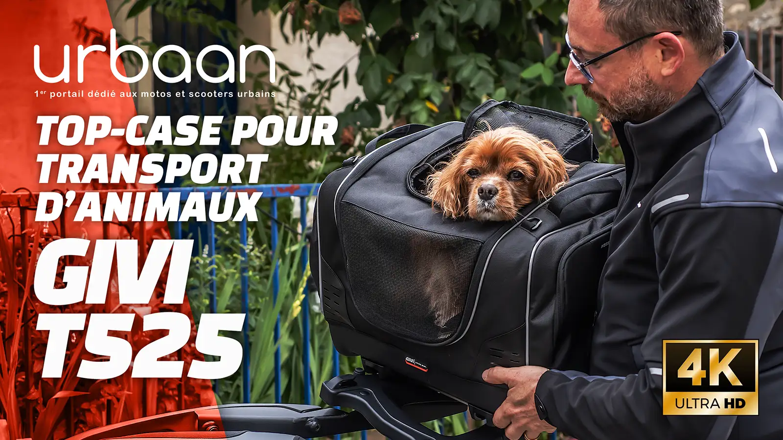 Essai Givi Pet Bag T525 : Transporter votre animal à scooter